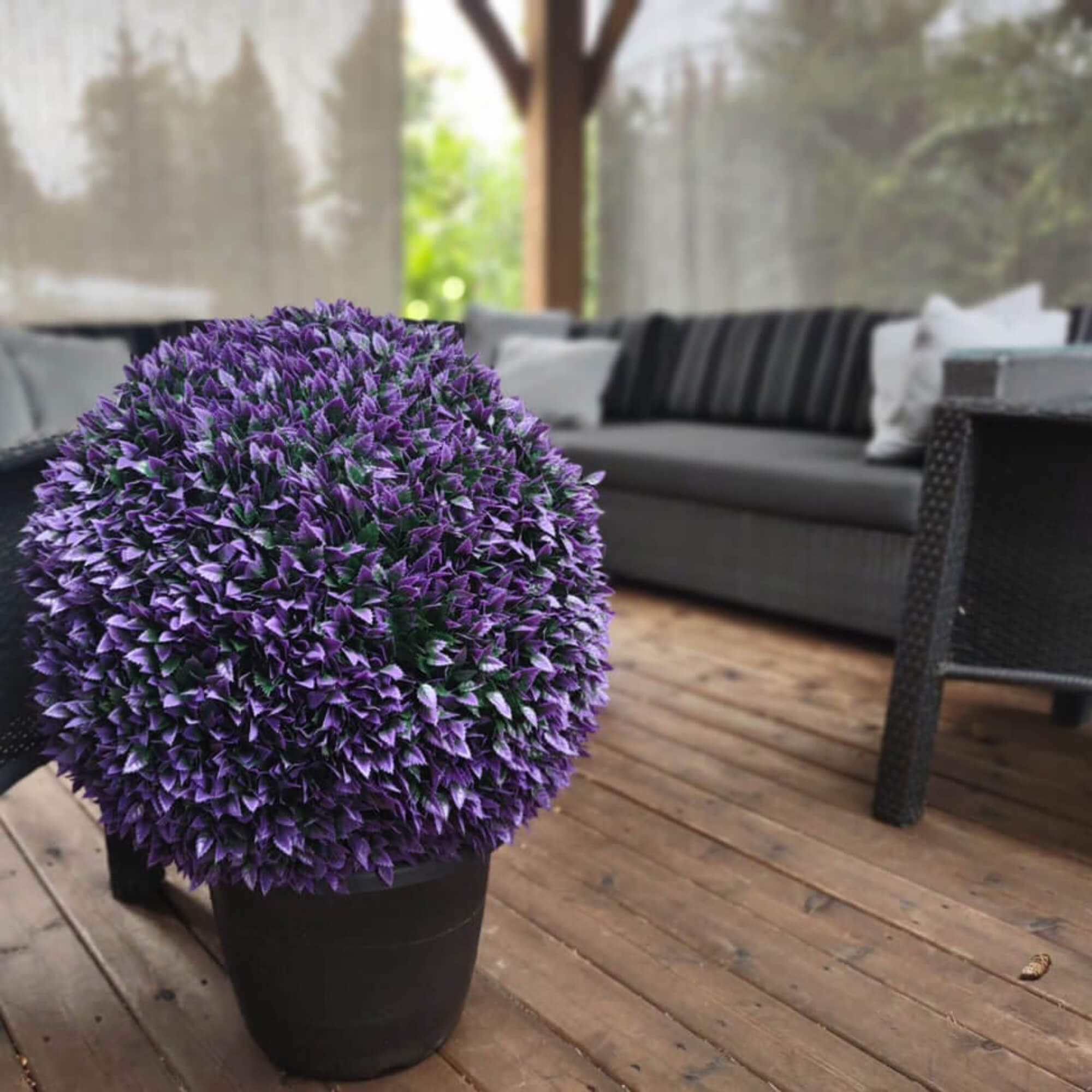 Colorful topiary collection – 365 Curb Appeal